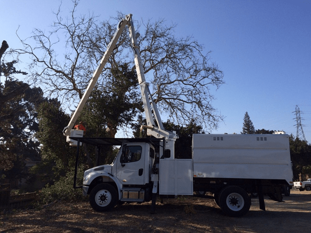24/7 Emergency Tree Services | Green Drop Tree Care
